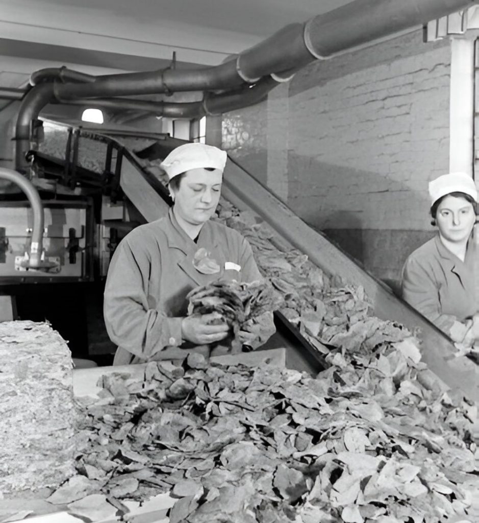 How Native Cigarettes are Made: A Behind-the-Scenes Look - 1Smokes