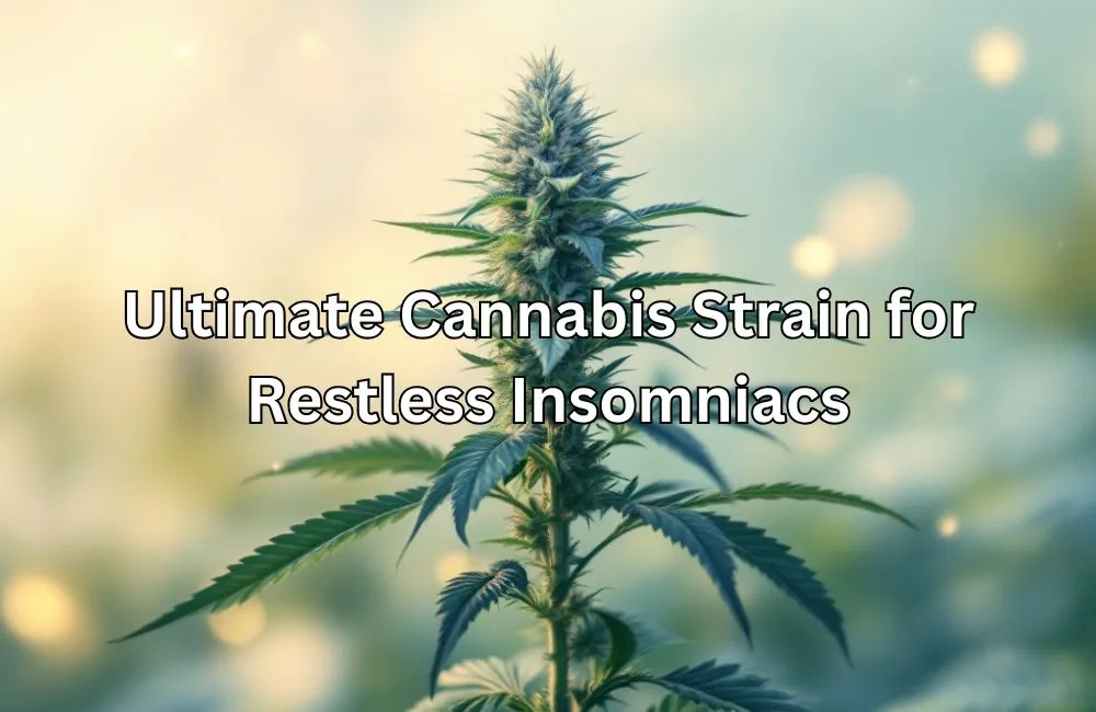 Ultimate Cannabis Strain for Restless Insomniacs - 1Smokes