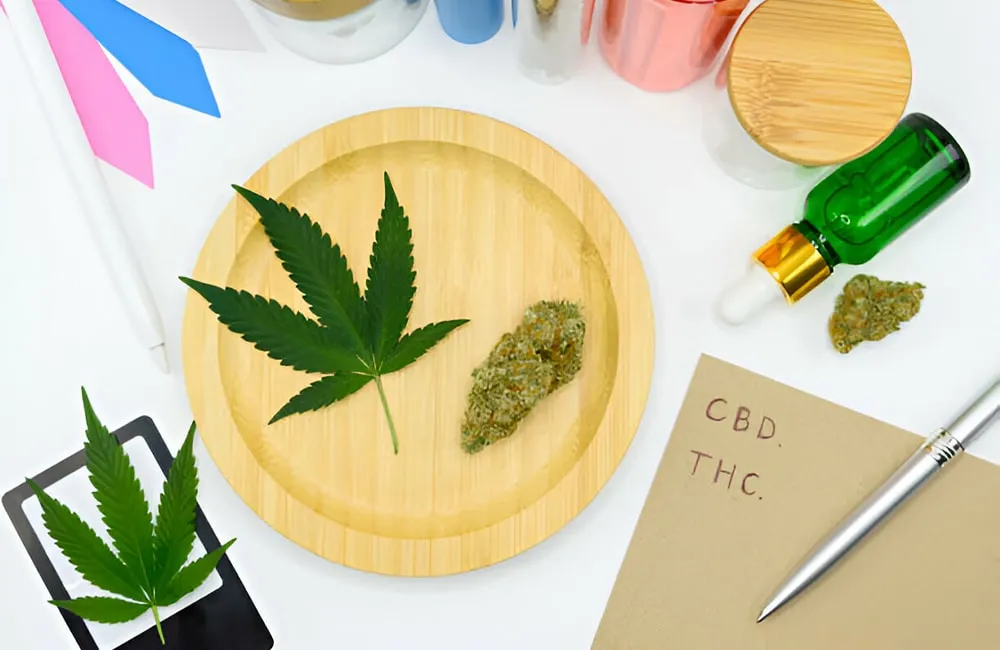 5 Powerful Ways Cannabis Can Transform Your Health - 1Smokes